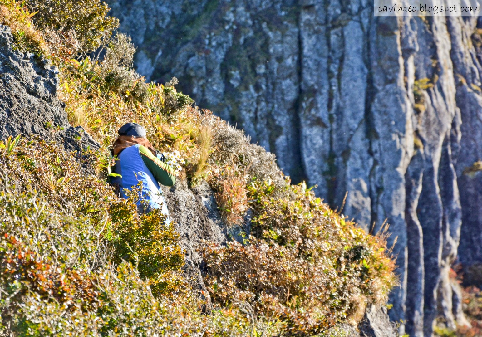 Entree Kibbles: Yeongsil Trail Up Mount Halla (Hallasan) Part 1 @ Jeju ...